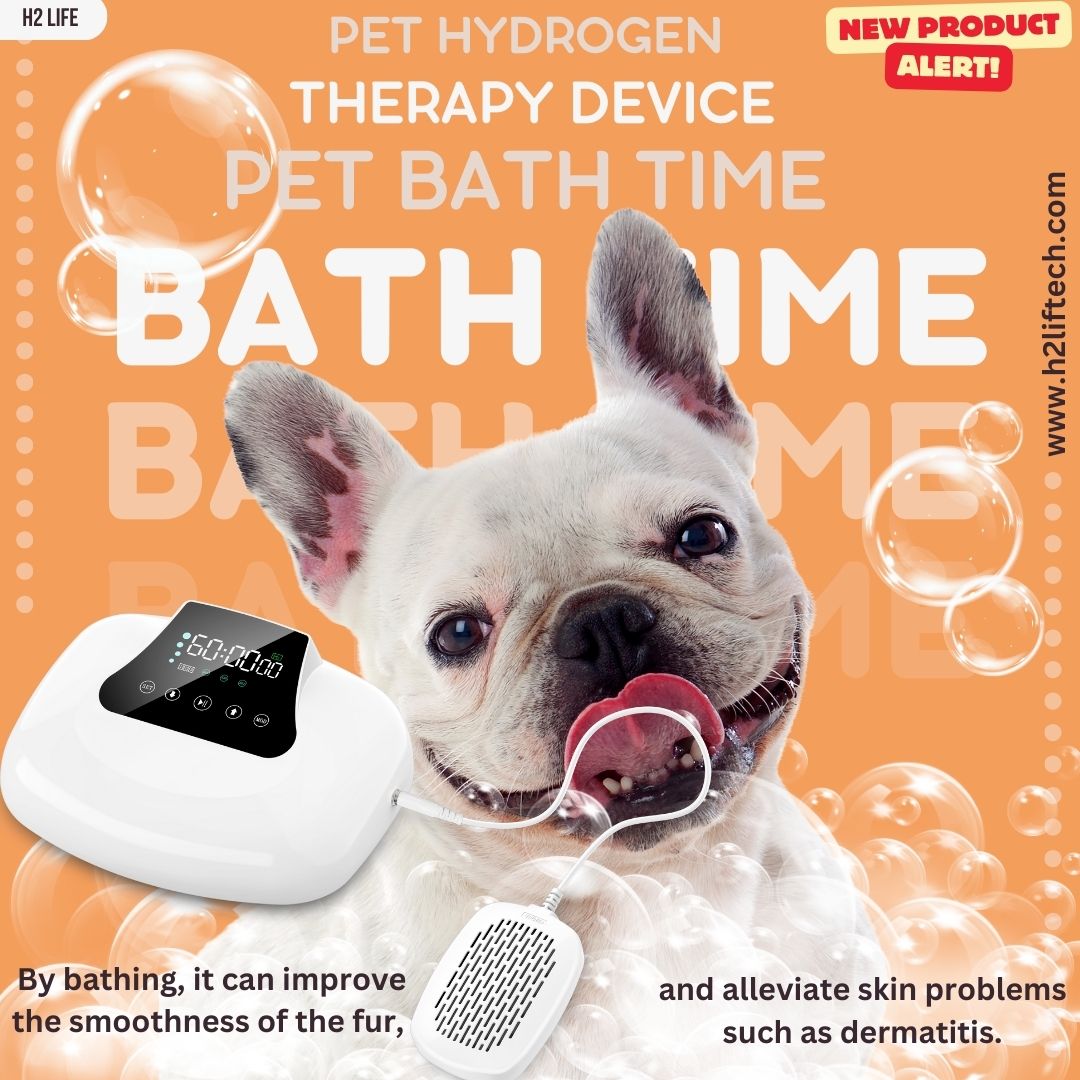 Discover Amazing Benefits of Pet Therapy with Our Hydrogen Therapy ...