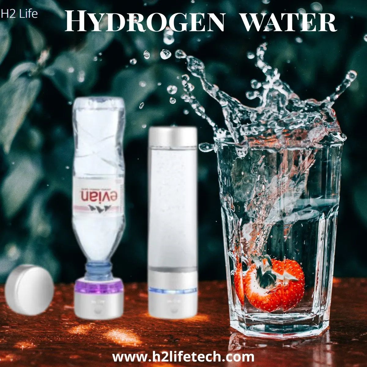 Hydrogen Water: Exploring Its Biological Benefits and Health Potential ...